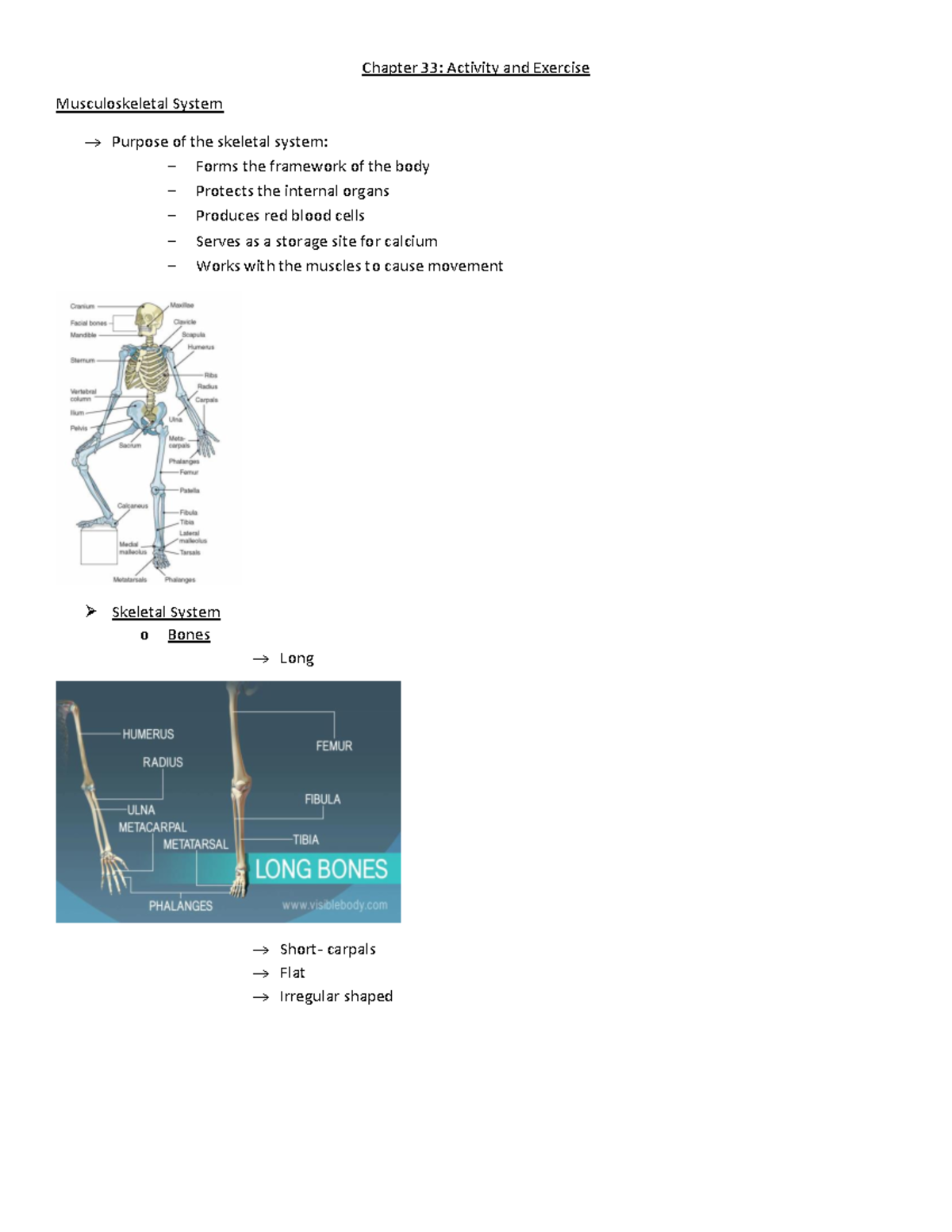Muscoskeletal- Exam 3 - Chapter 33: Activity and Exercise ...