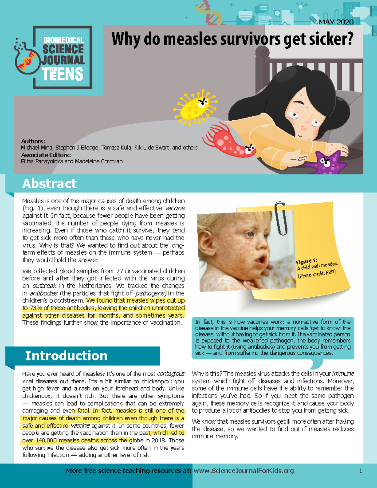 Antibodies article - xfghjkjhgfd - December 2017 Authors: Susan Crow ...