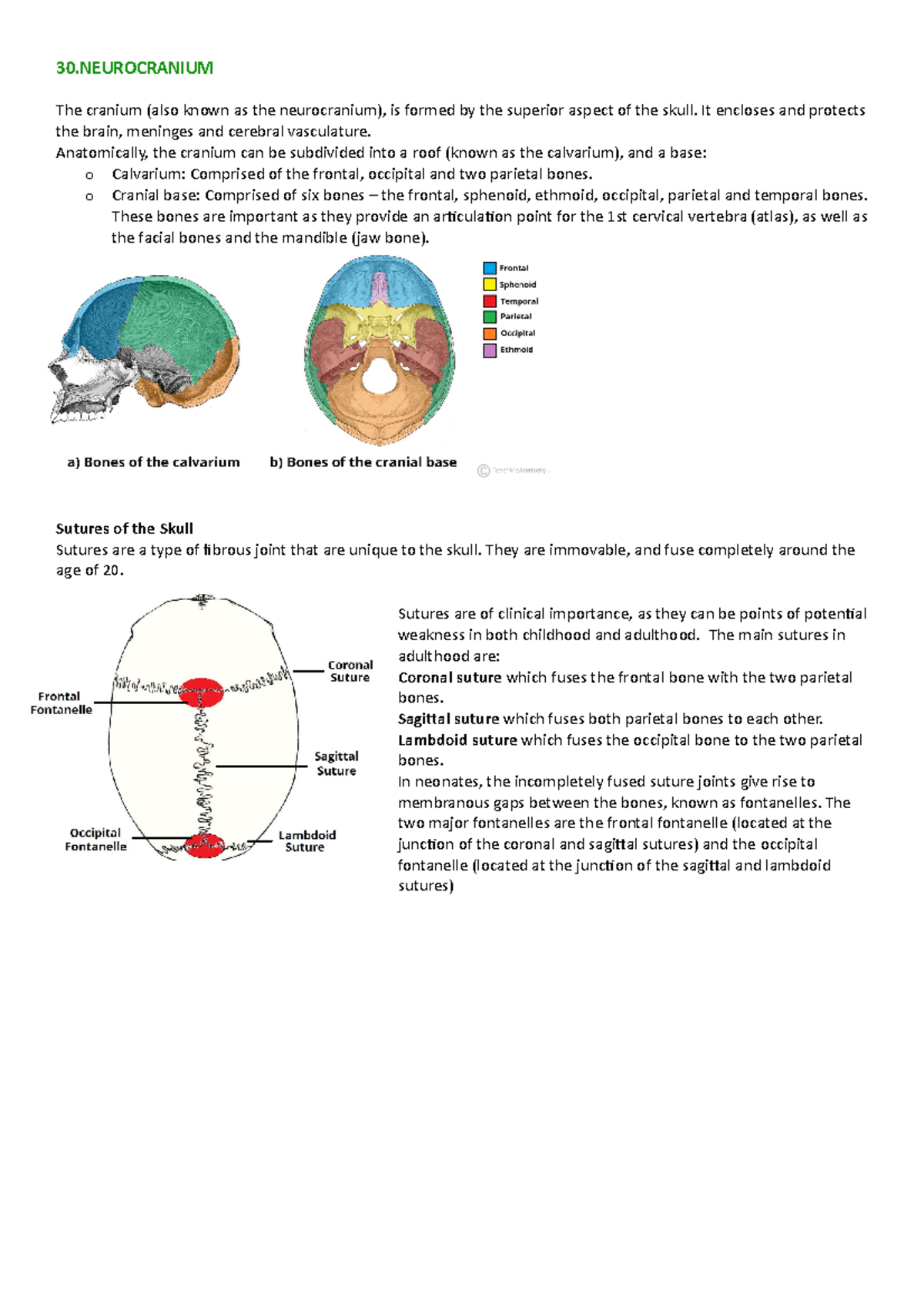 Neurocranium and its contents - 30 The cranium (also known as the ...