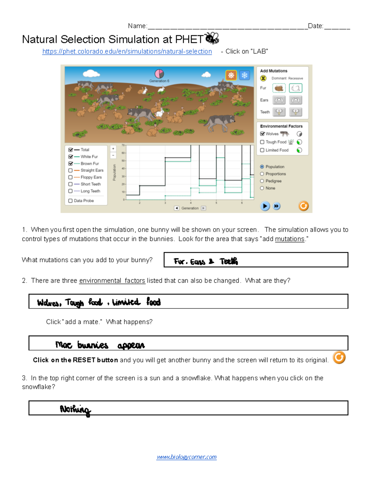 Natural Selection - mechanics and biology learning - Name