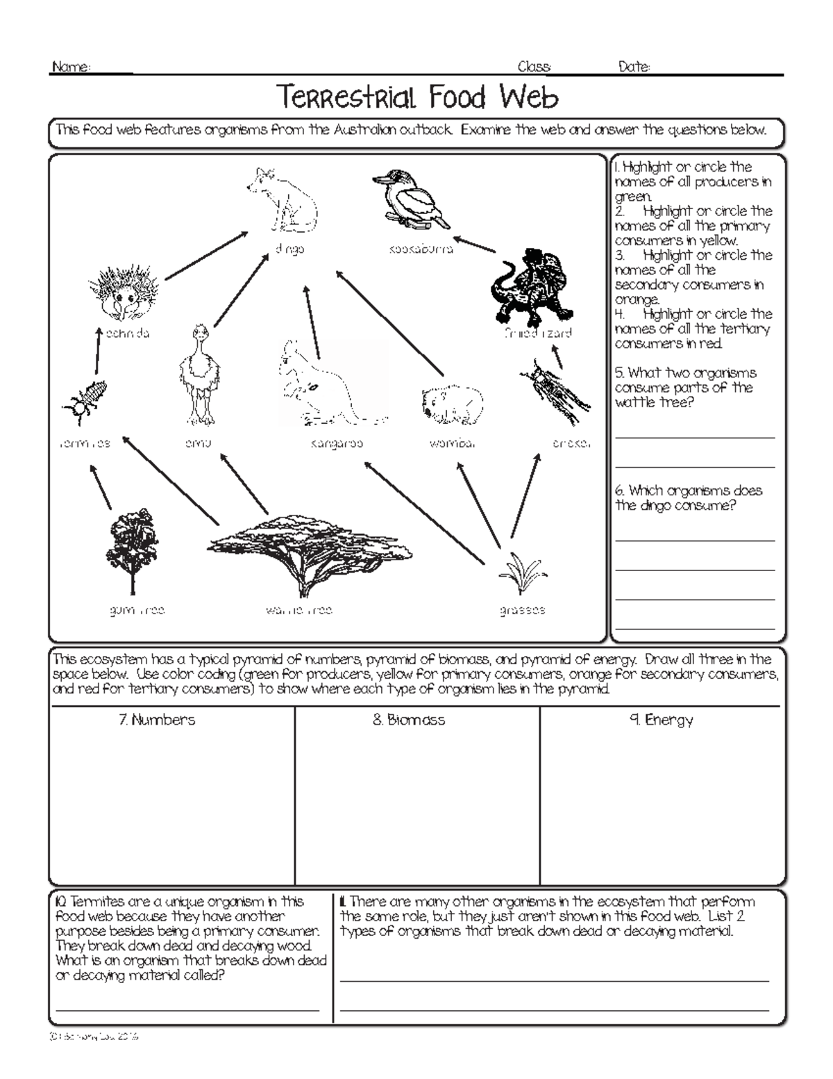 02. Terrestrial Food Web WS - Name: Class: Date: (C) Bethany Lau 2016 ...