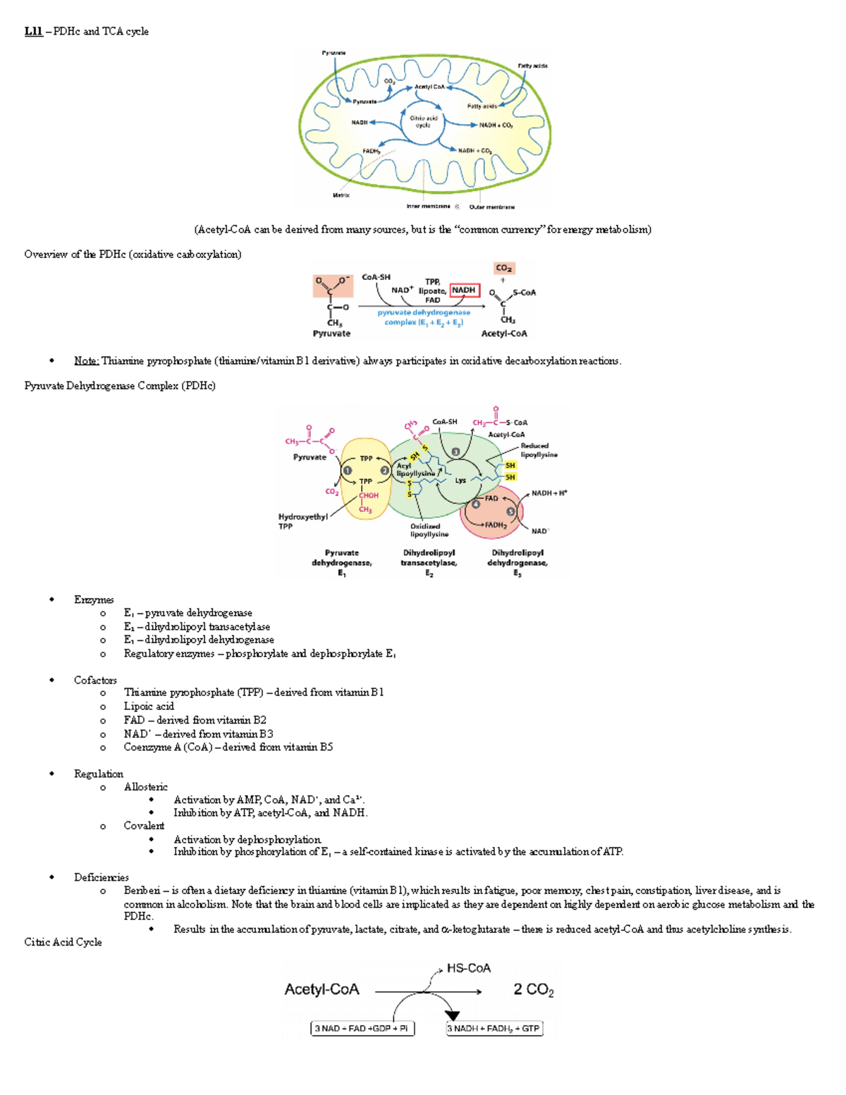 L11 - PDHc and TCA cycle - Lecture notes 11 - L11 – PDHc and TCA cycle ...
