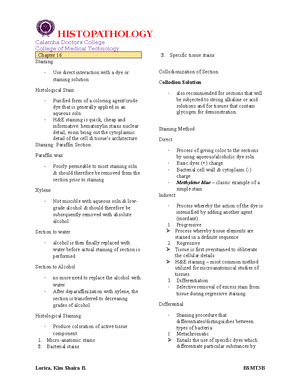 Pituitary - Definition of Disease Pituitary Adenoma A pituitary adenoma ...