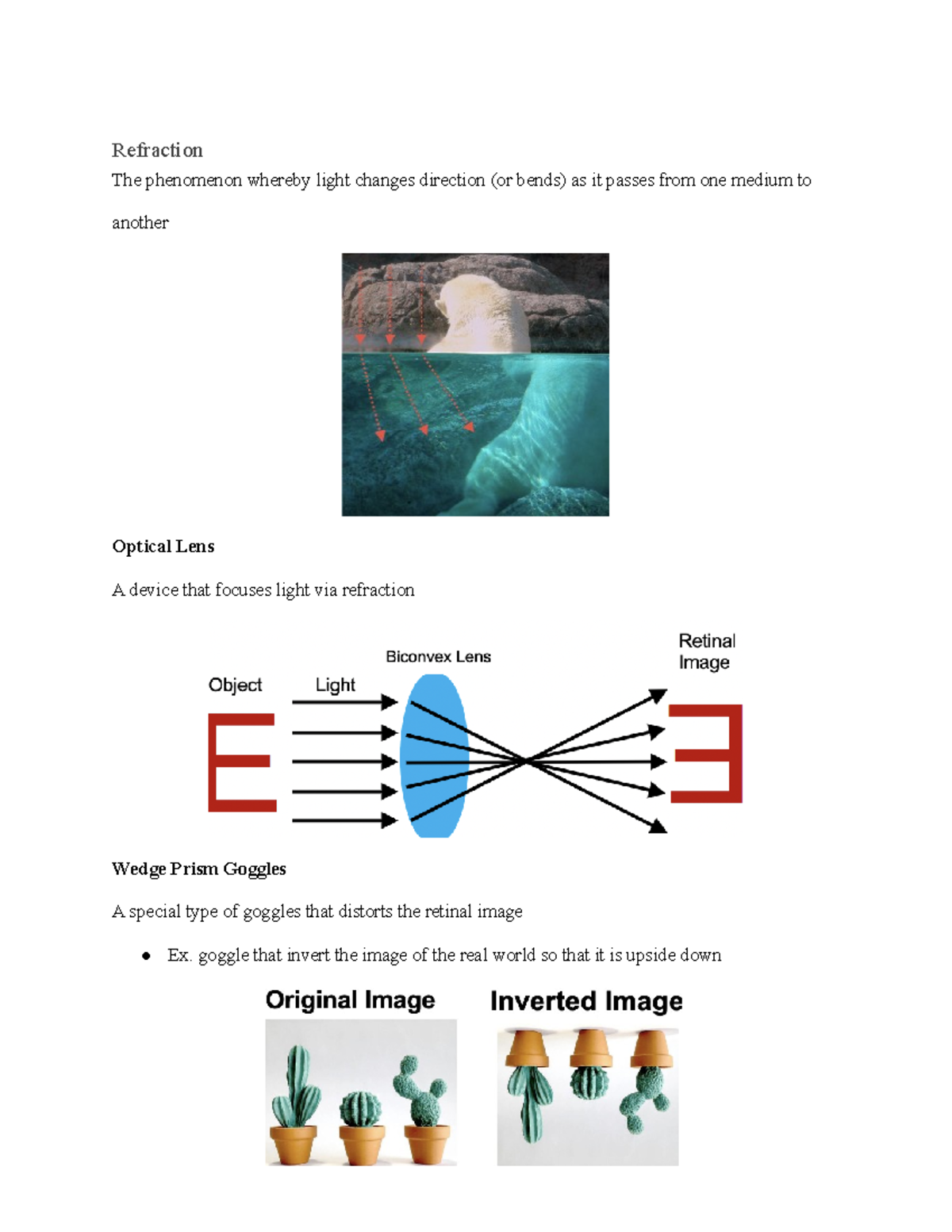 The Eye II - The Eye II - Refraction The phenomenon whereby light ...
