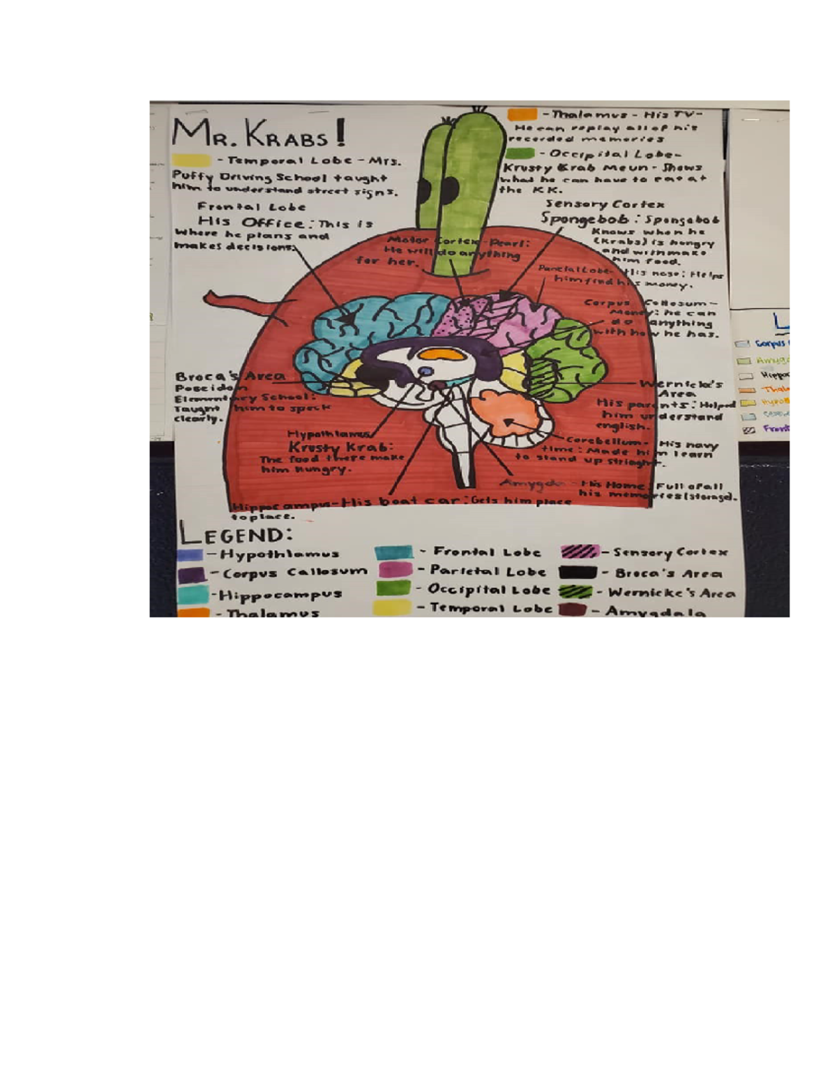 Examples of Brain Project - Studocu