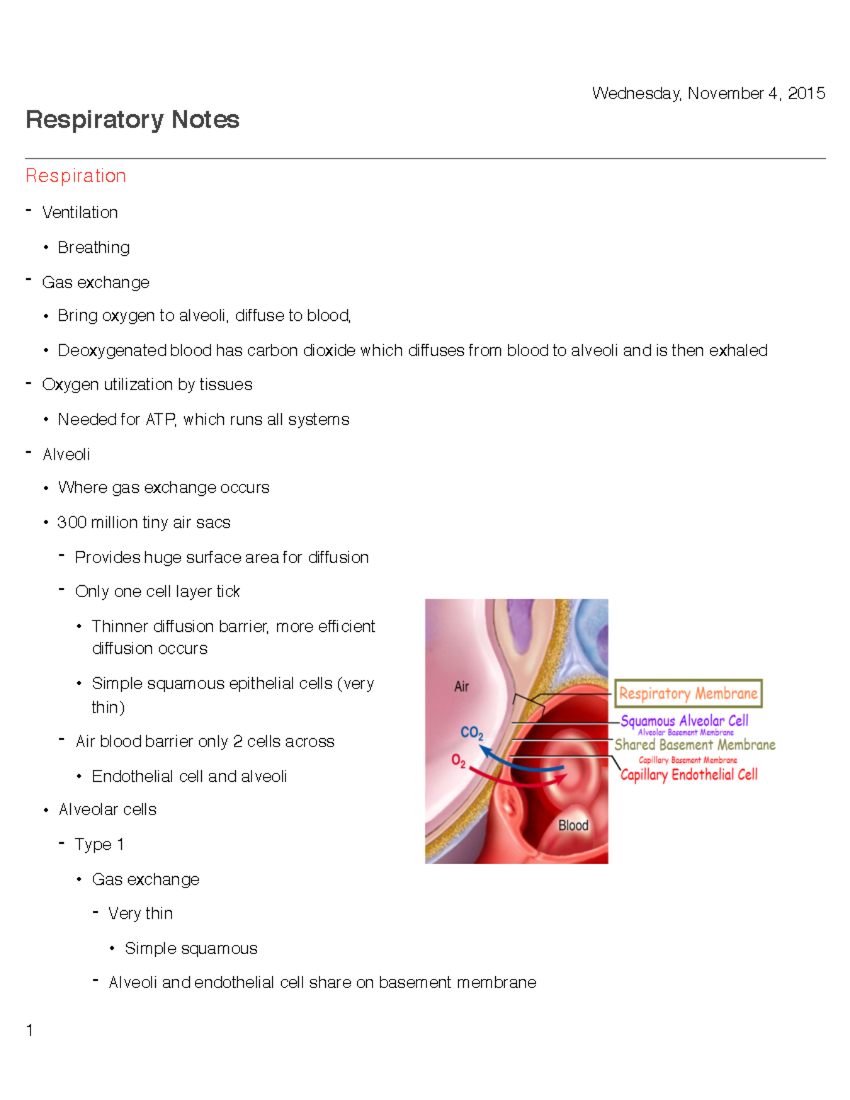 Physio Nov. 4 pdf - respiratory notes - Respiratory Notes Respiration ...