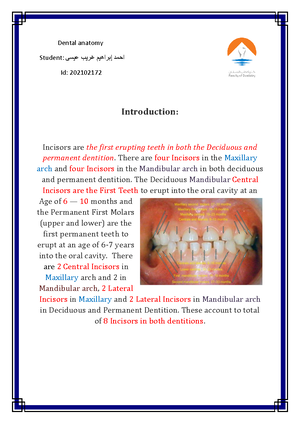 Dental Anatomy Questions (3) (with answers) - Trial mid-term exam HD ...