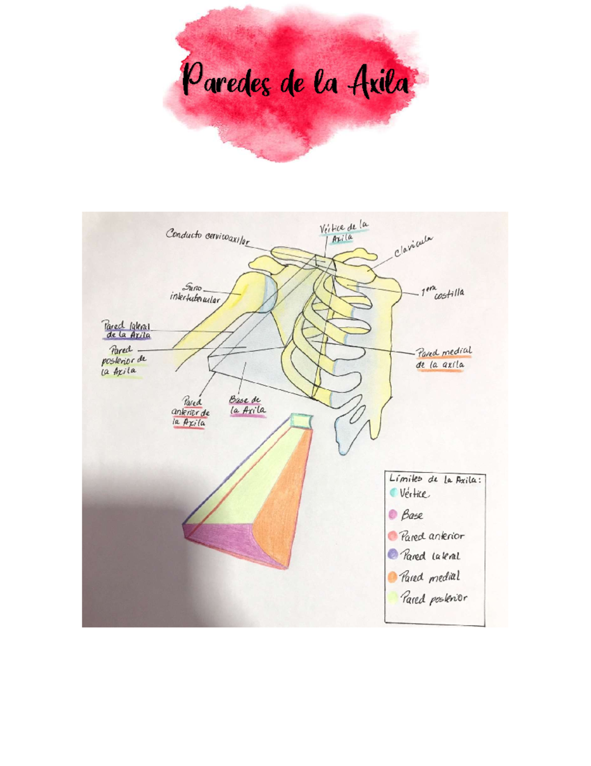 Axila 2 - Warning: TT: undefined function: 32 Paredes de la Axila ...