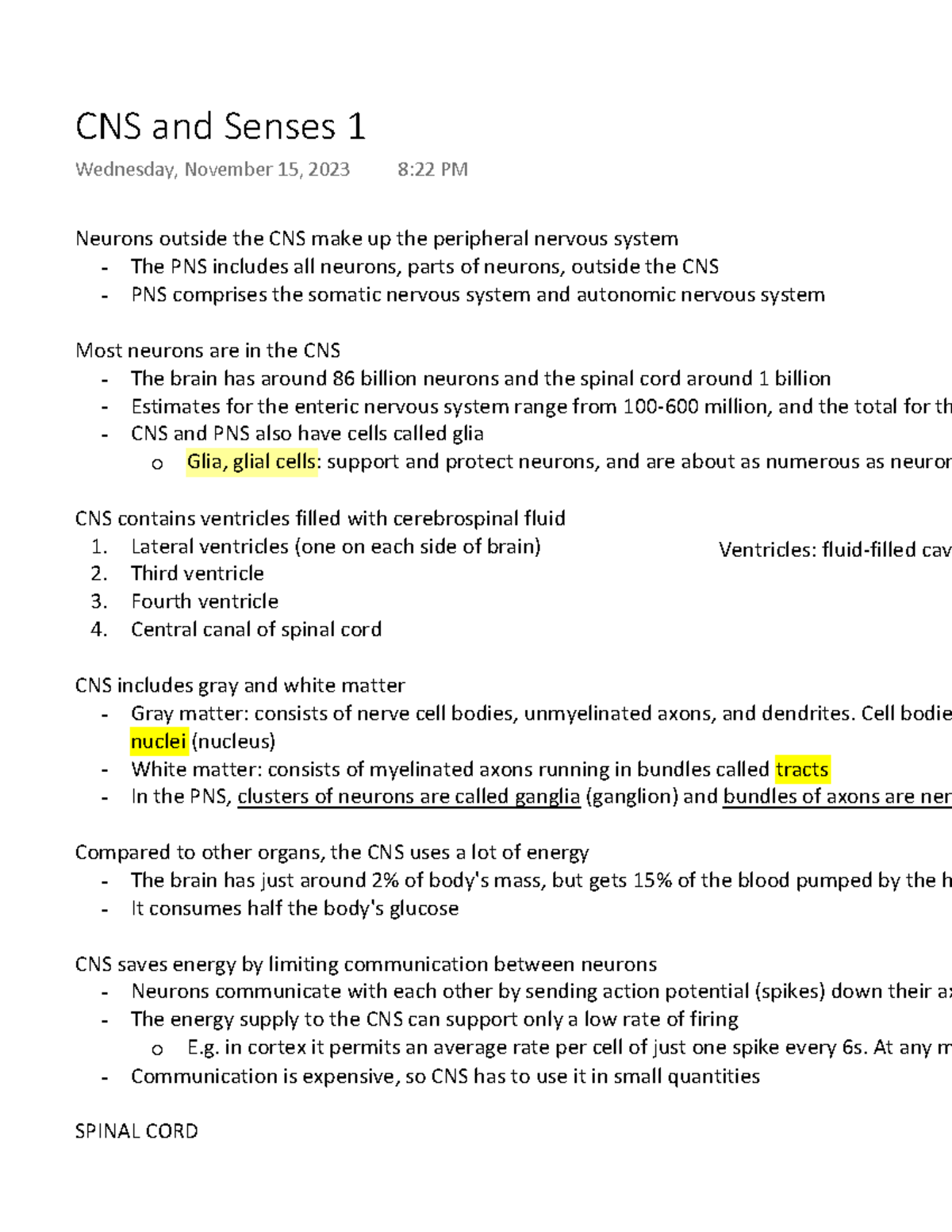 CNS and Senses 1 - 3-Attention - Neurons outside the CNS make up the peripheral nervous system ...