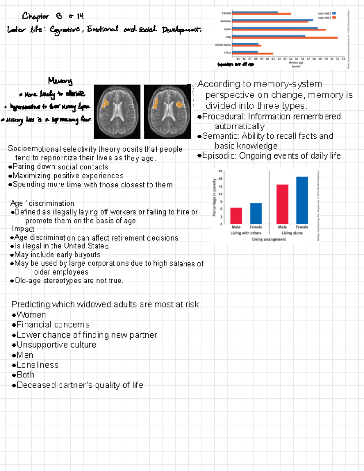 Chp 13 Memory - Diane Tuininga, Annandale Campus, Developmental ...