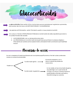 Antimicó Ticos - Se debe tener en cuenta que dentro de este grupo ...
