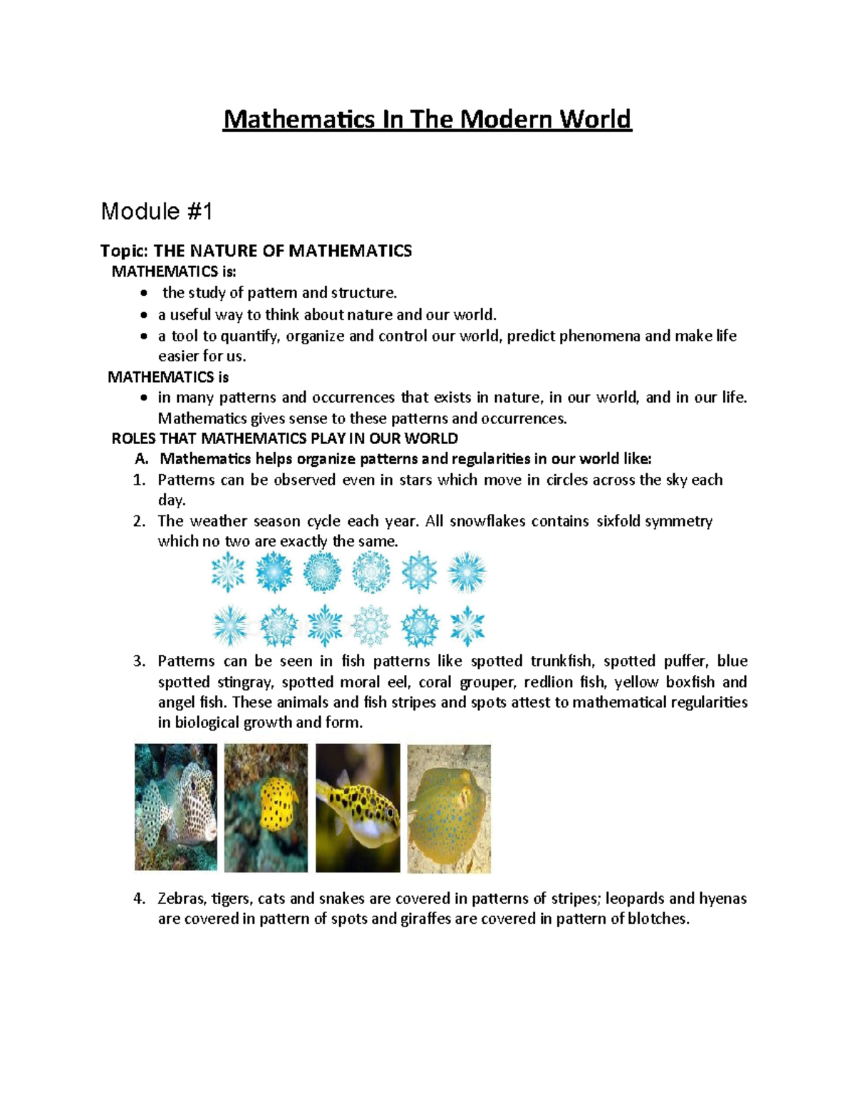 618644408 Mathematics in the Modern World 1st year 1st semester ...