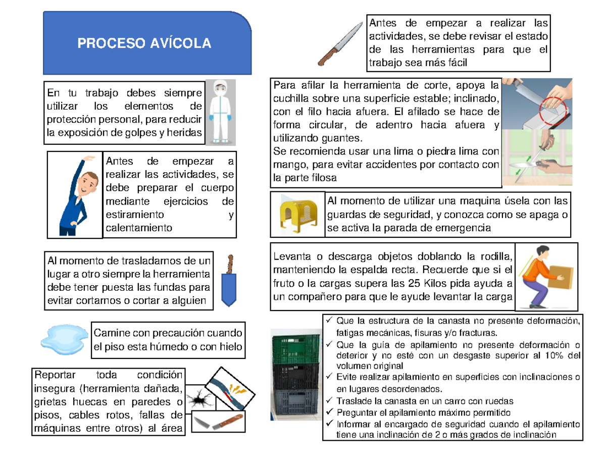 Proceso Avicola Nuevos (1) (2) - Antes de empezar a realizar las ...