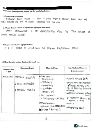 Activity-13 - Activity 13 - Instruction: Answer questions properly, and ...