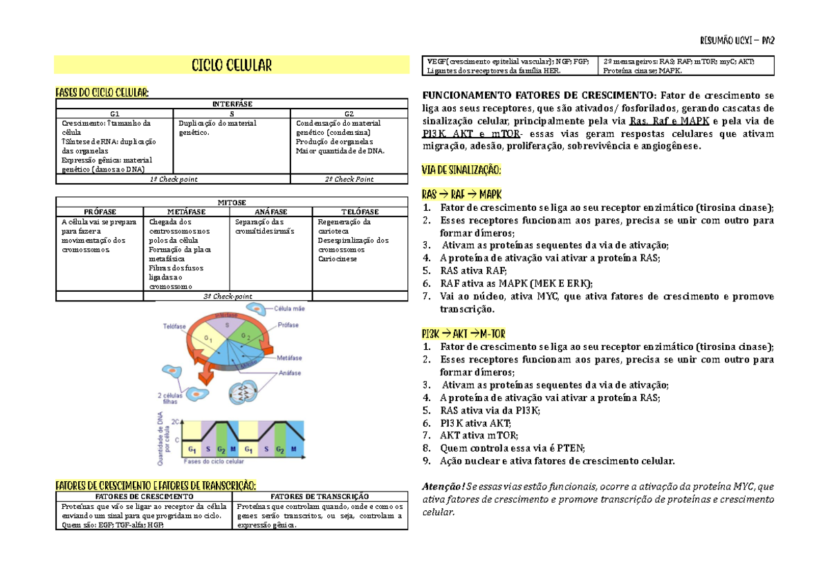 oncologia super resumo - INTERFÁSE G1 S G Crescimento: ↑tamanho da ...