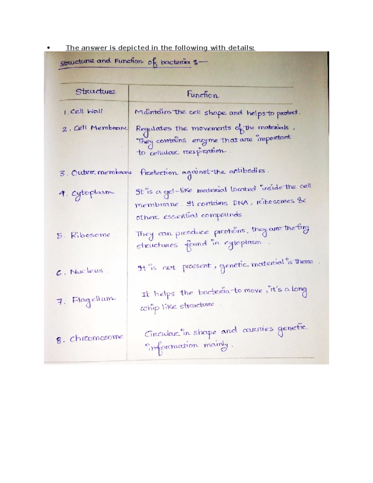 Concept map on bacteria - The answer is depicted in the following with ...