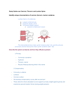 Ch.4 Focused Reading - Chapter 4- Stretching Notes Stretching (i) Any ...