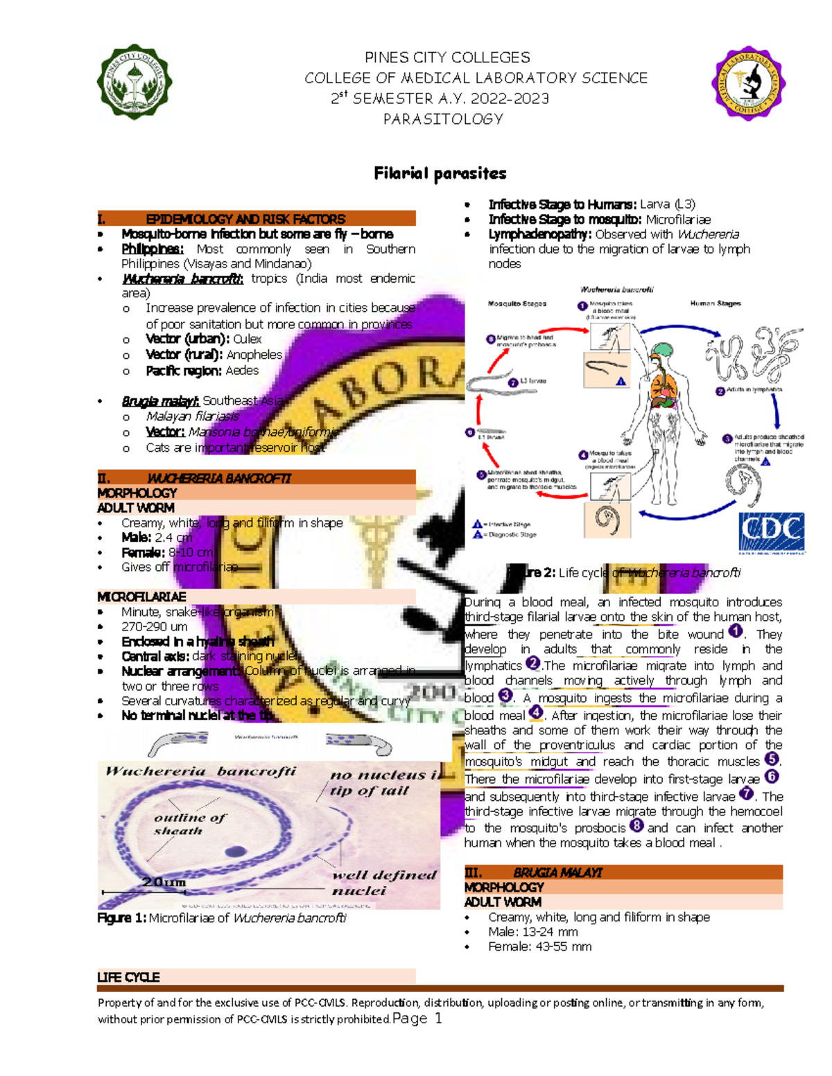 Filarial parasites - COLLEGE OF MEDICAL LABORATORY SCIENCE 2 st ...
