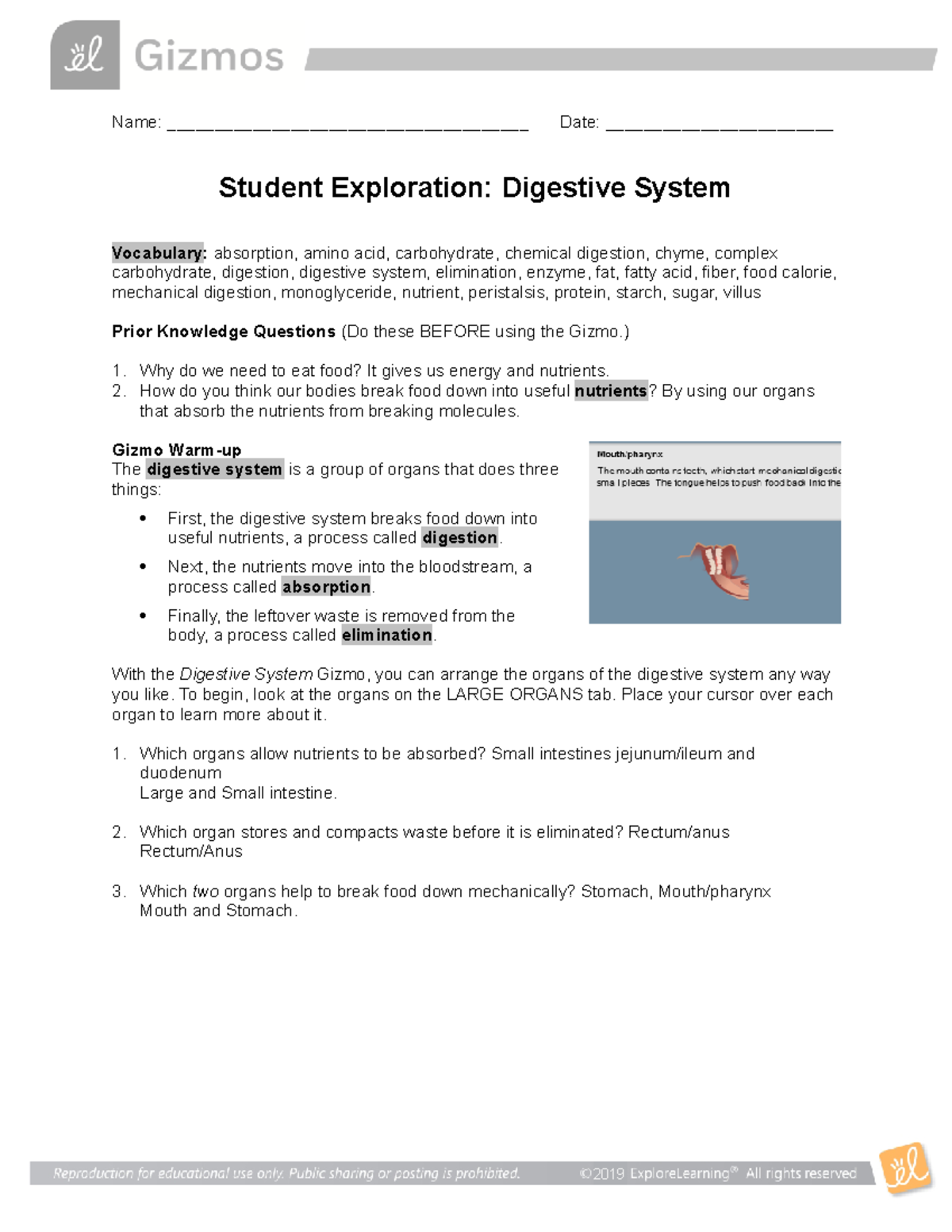 Digestive System SE Gizmo Exploration Document Student Exploration