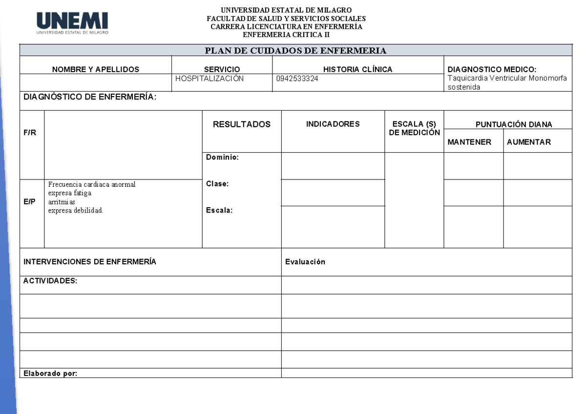 Plantilla pae - es para el proceso - PLAN DE CUIDADOS DE ENFERMERIA ...