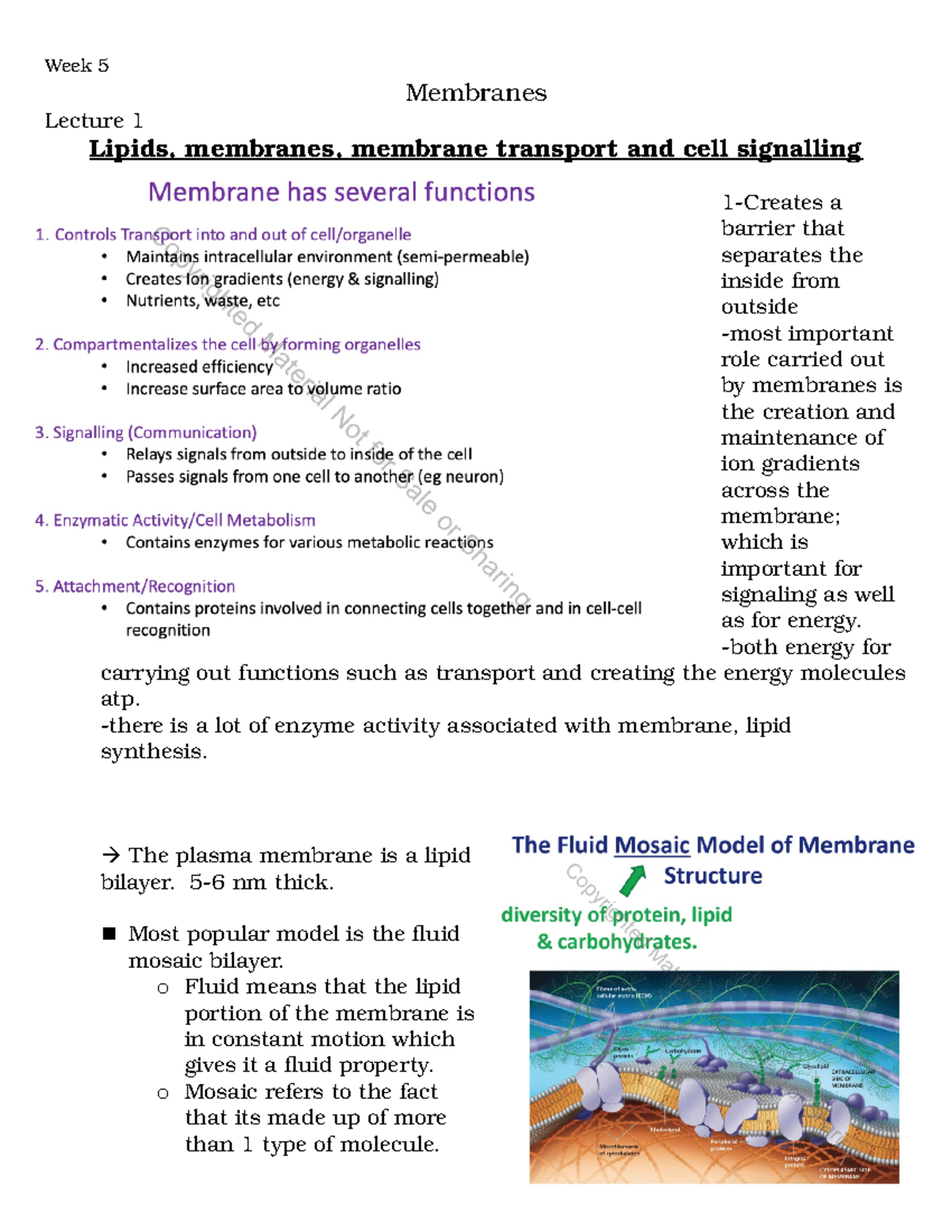 Membranes week 5 - Lecture notes 1-4 - Week 5 Membranes Lecture 1 ...