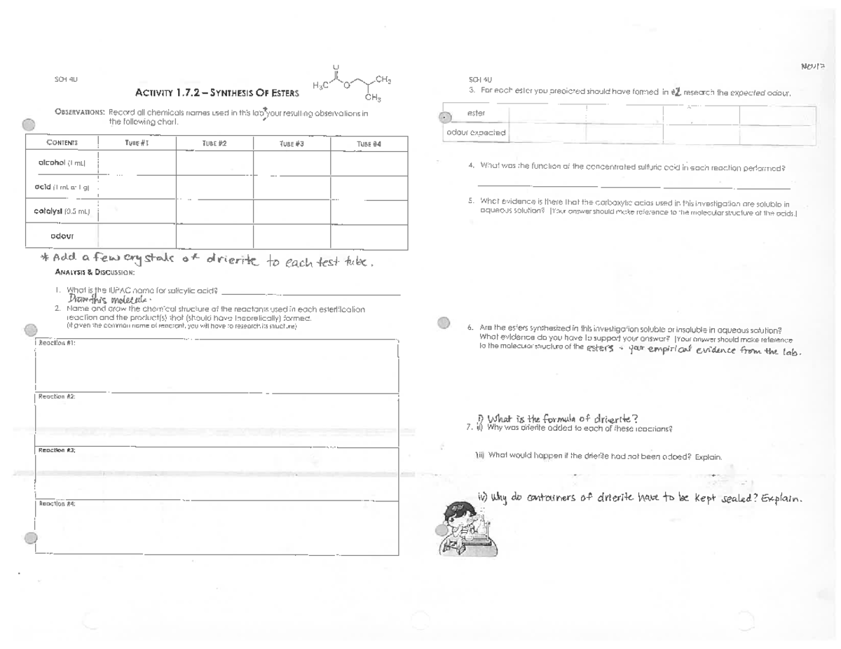 12u ester lab - Science - Studocu