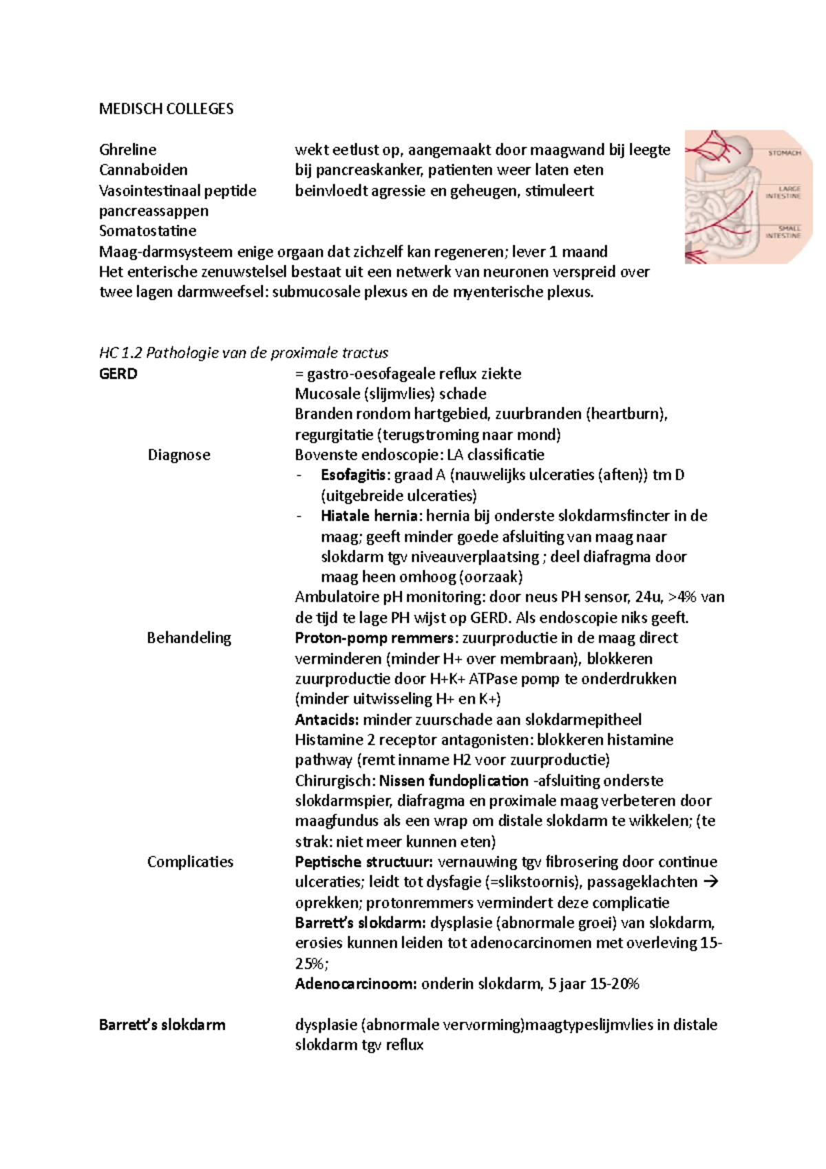 Medisch beknopte samenvatting - MEDISCH COLLEGES Ghreline wekt eetlust op, aangemaakt door ...