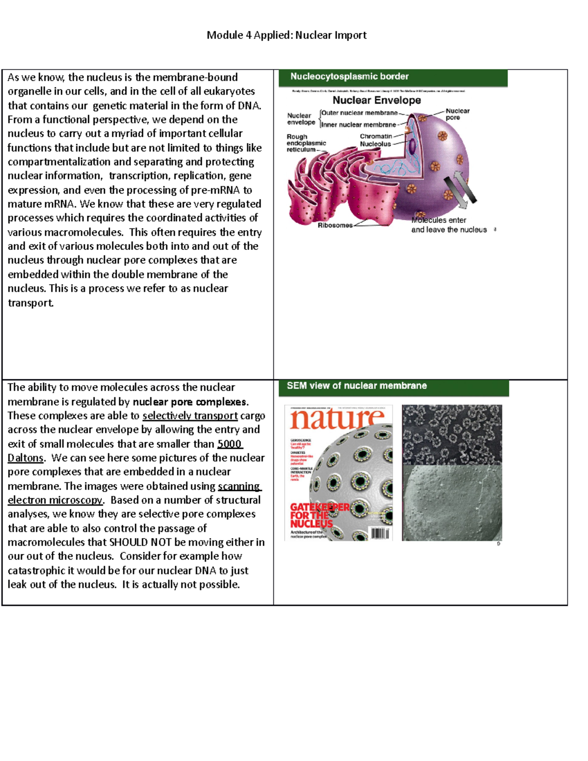 MOdule 4 Applied - Bio detailed notes for lecture for cell biology - As ...