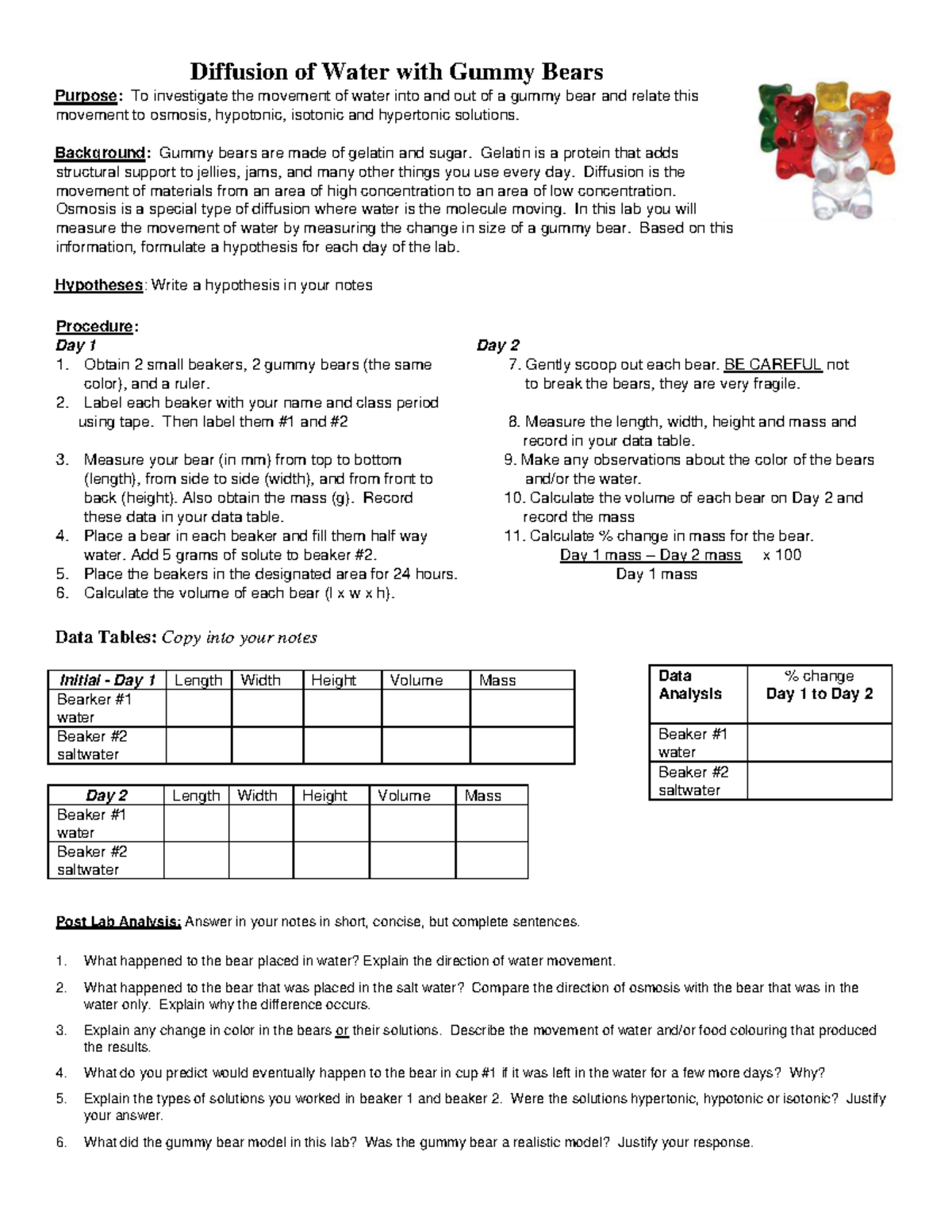 Diffusion of Water with Gummy Bears - Diffusion of Water with Gummy ...