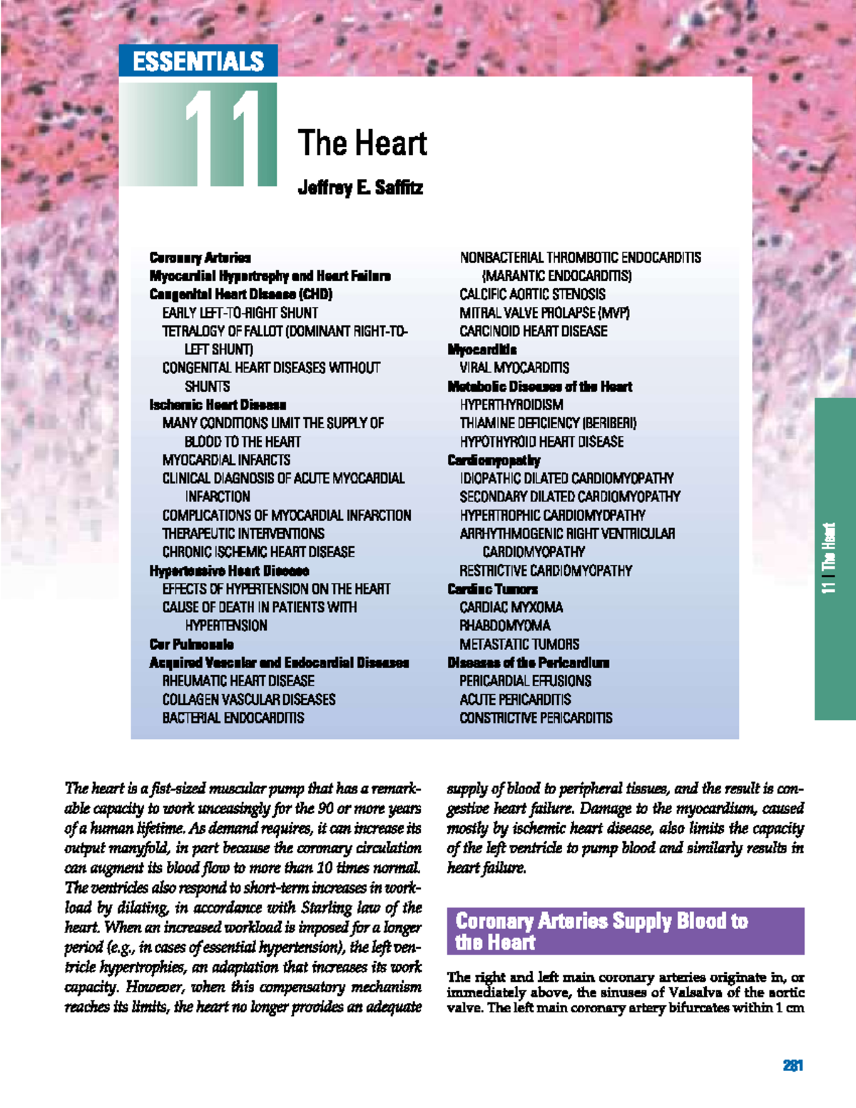 Pathology of Cardiovascular System - Reading material 2 - Studocu
