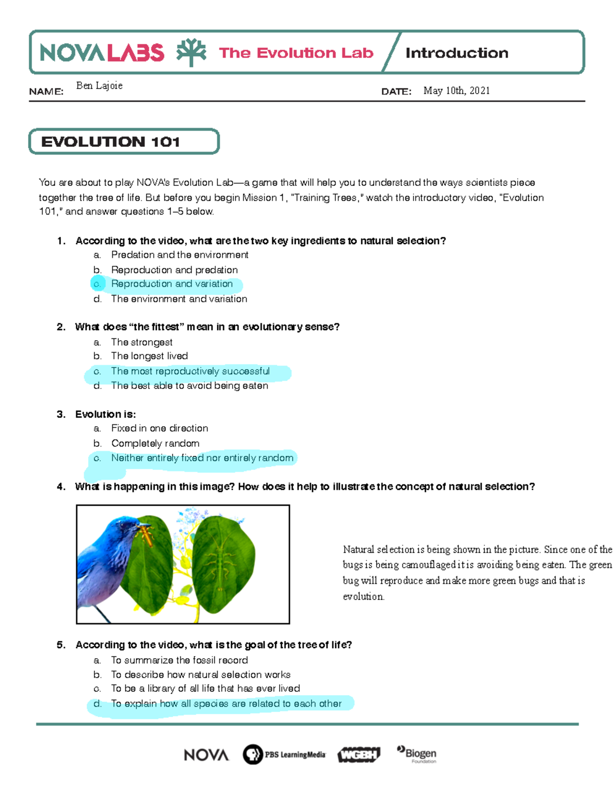 Kami Export - Benjamin Lajoie - NOVA Evolution Lab Intro Mission 1 ...