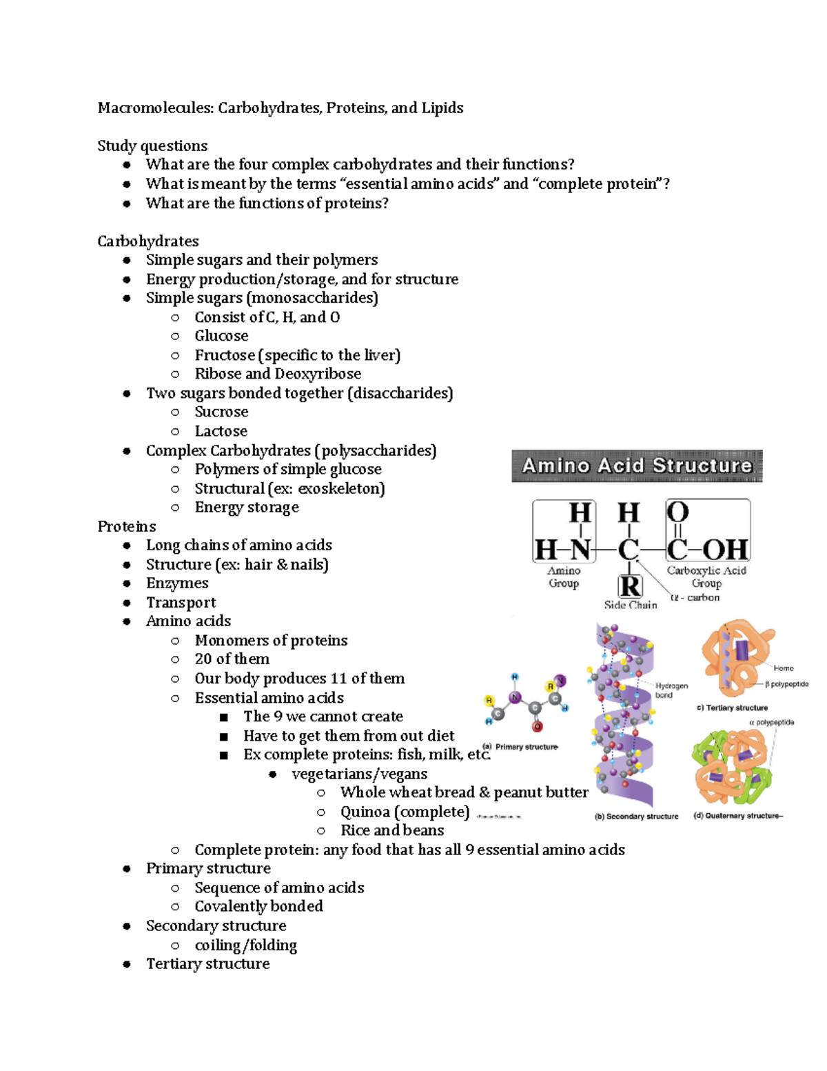 Macromolecules carbohydrates, proteins, and lipids - BIOL 125 - StuDocu