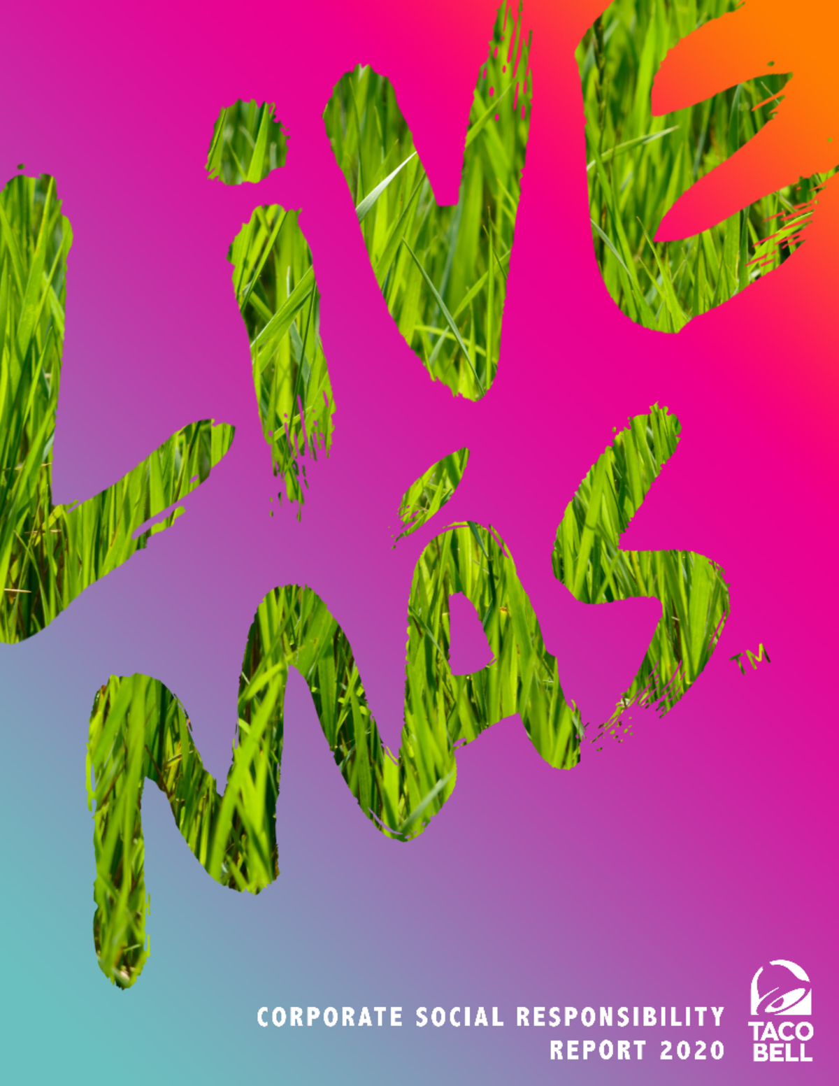 Final Project Example - LETTER FROM THE CEO 2 2020 CORPORATE SOCIAL ...