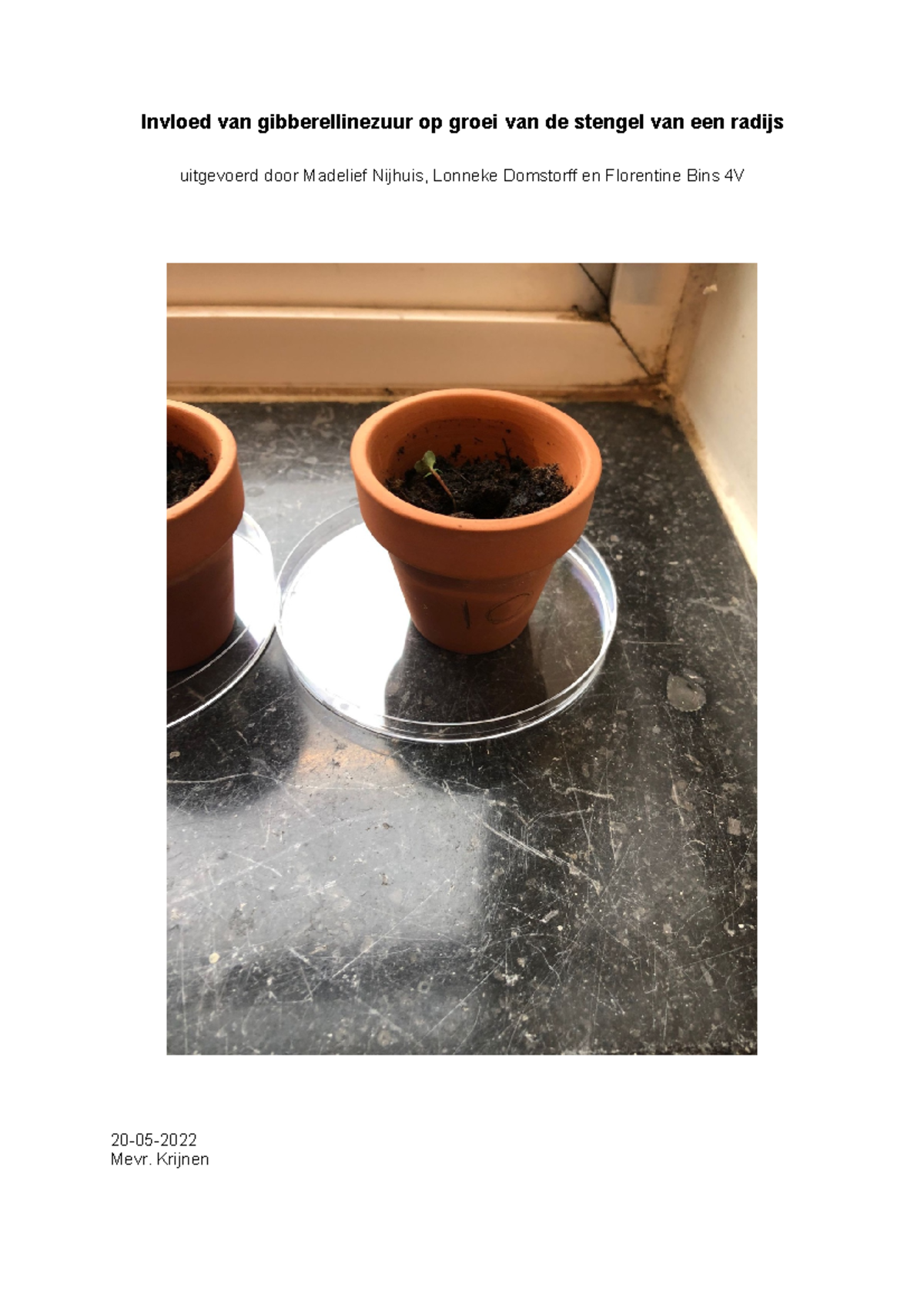 Biologie verslag gibberelinezuur - Invloed van gibberellinezuur op ...