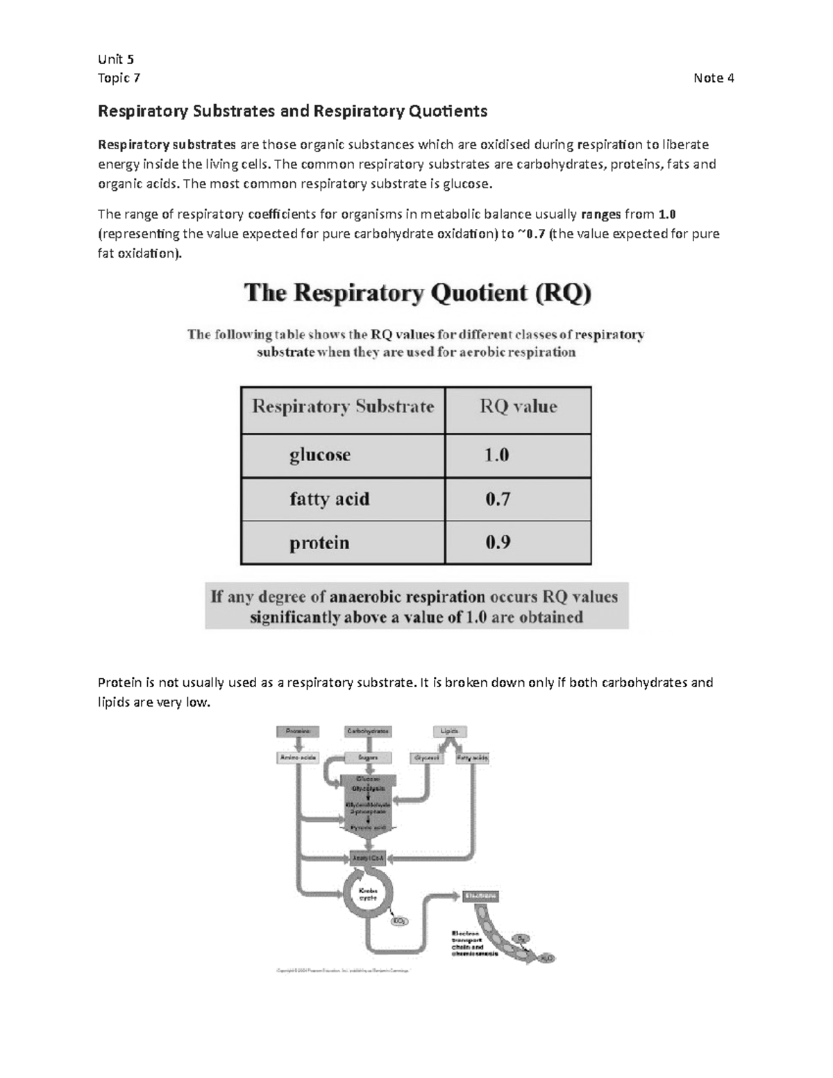 Note 4 RQ values and expt - Unit 5 Topic 7 Note 4 Respiratory ...
