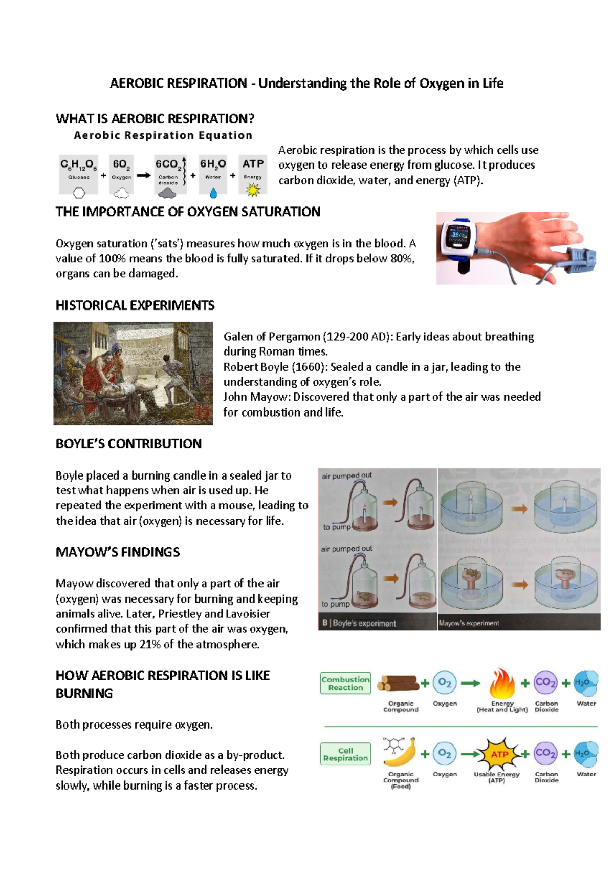 Aerobic Respiration - Understanding the Role of Oxygen in Life ...