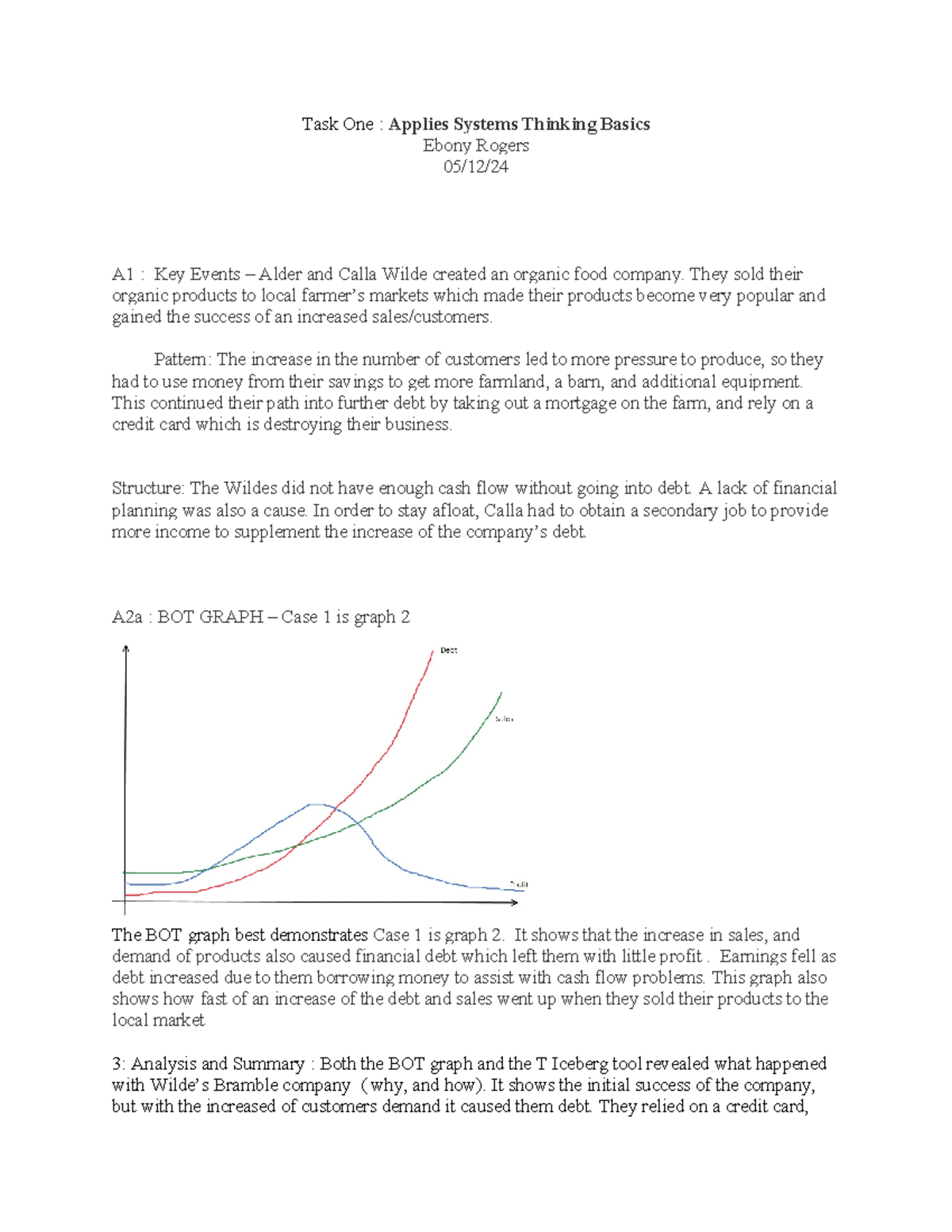 Systems Thinking Analysis Case 1 Task 1 D372 Insights Task One Applies Systems Thinking