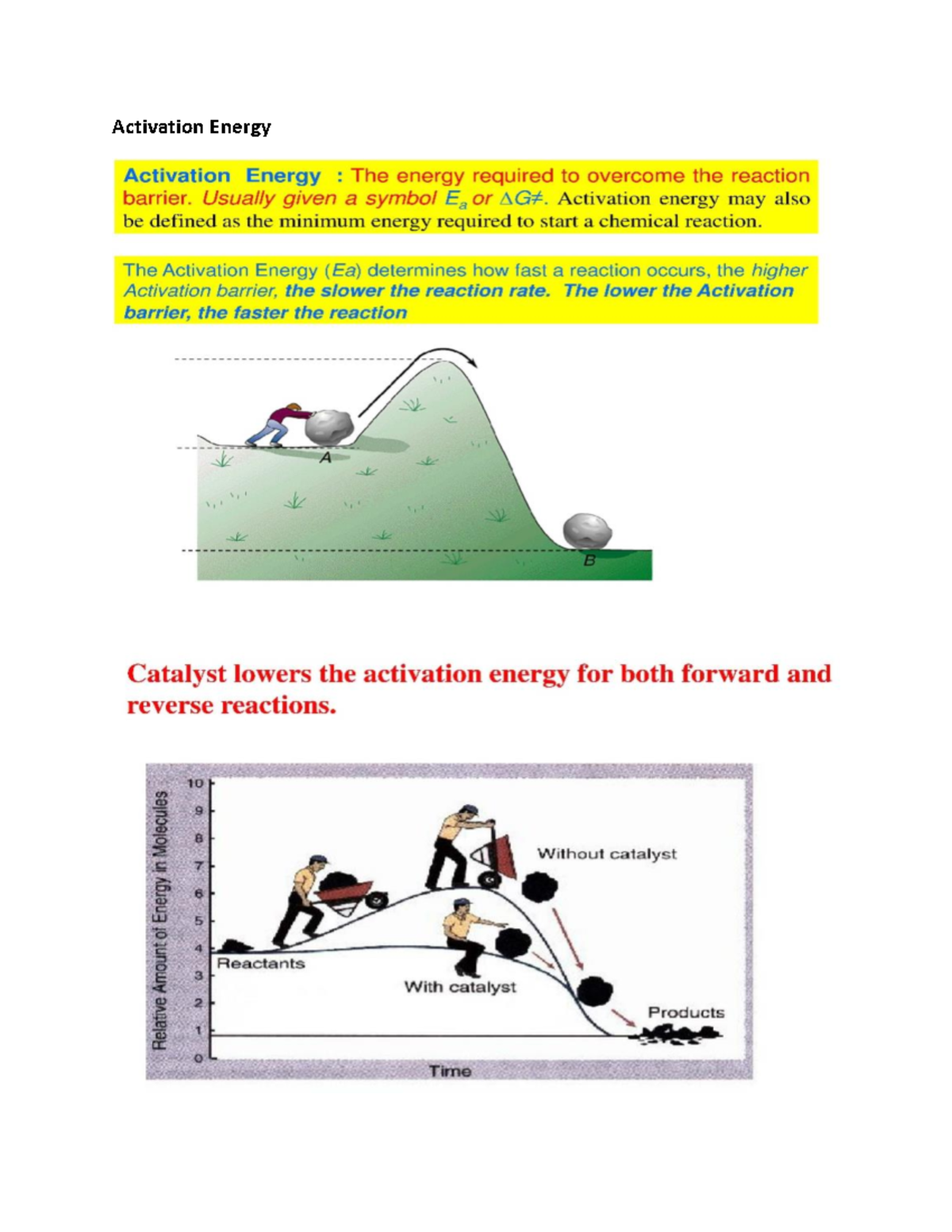 Catalyst 13 - Activation Energy How Heterogeneous ctalysis work - Studocu