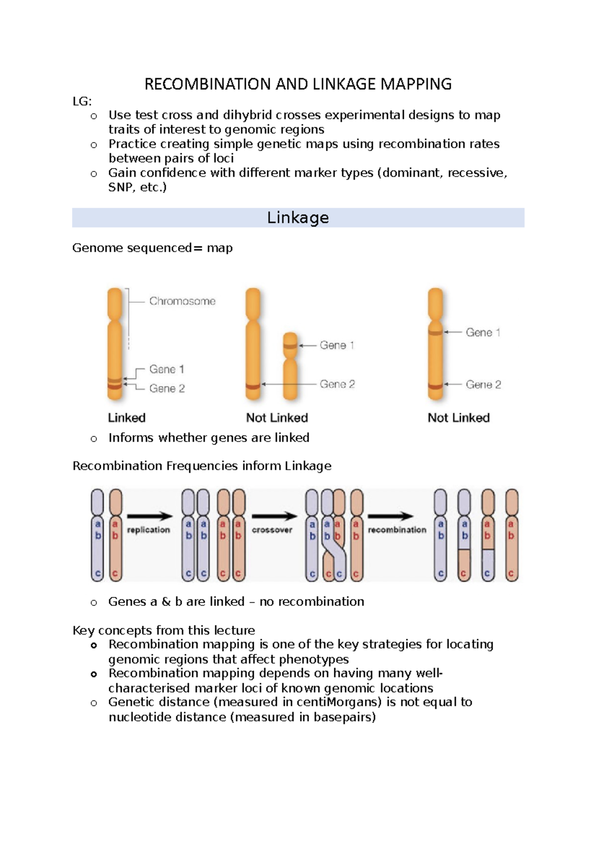 LEC- Recombination AND Linkage Mapping - RECOMBINATION AND LINKAGE ...