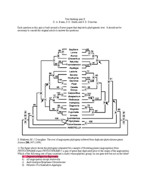 BIOL 4342 Worksheet 4 - BIOL 4342 UT Permian Basin Name: Chyra Thompson ...