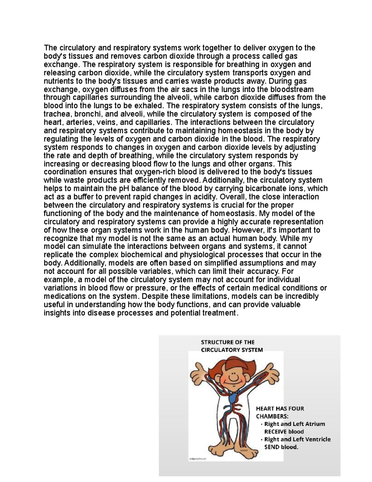 The Circulatory and Respiratory Systems Project Modeling Organ System ...