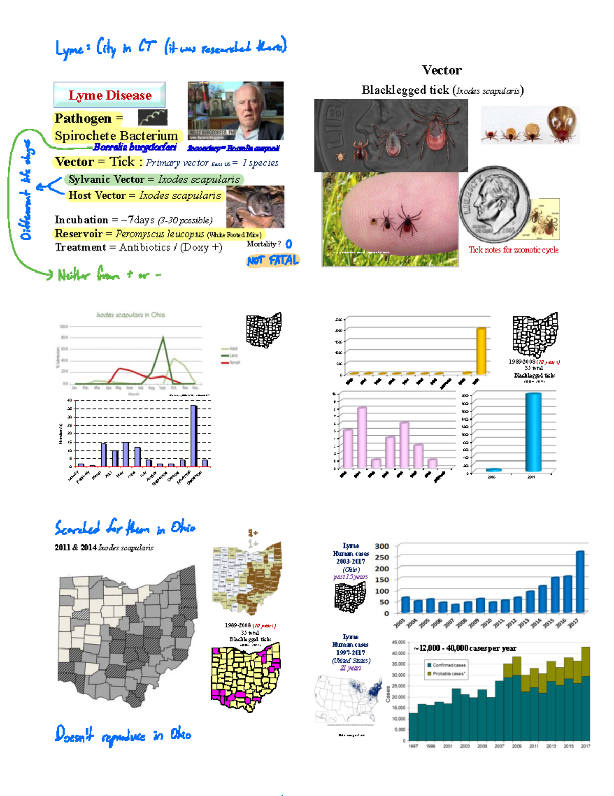 Week 6 - Lyme Disease - Lecture notes - Lyme Disease Pathogen ...
