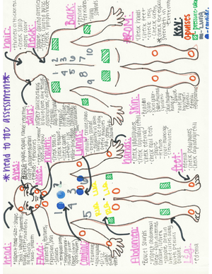 Shadow Health® │ Digital Clinical Experiences™ from Elsevier - Follow ...