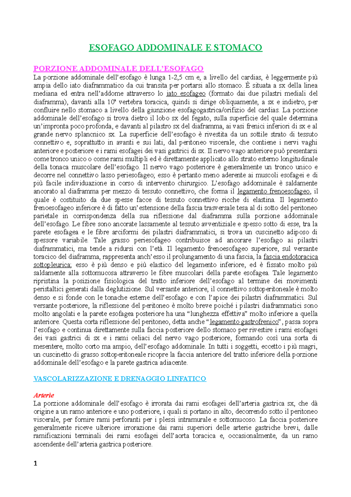 Esofago Addominale E Stomaco-58 - ESOFAGO ADDOMINALE E STOMACO PORZIONE ...