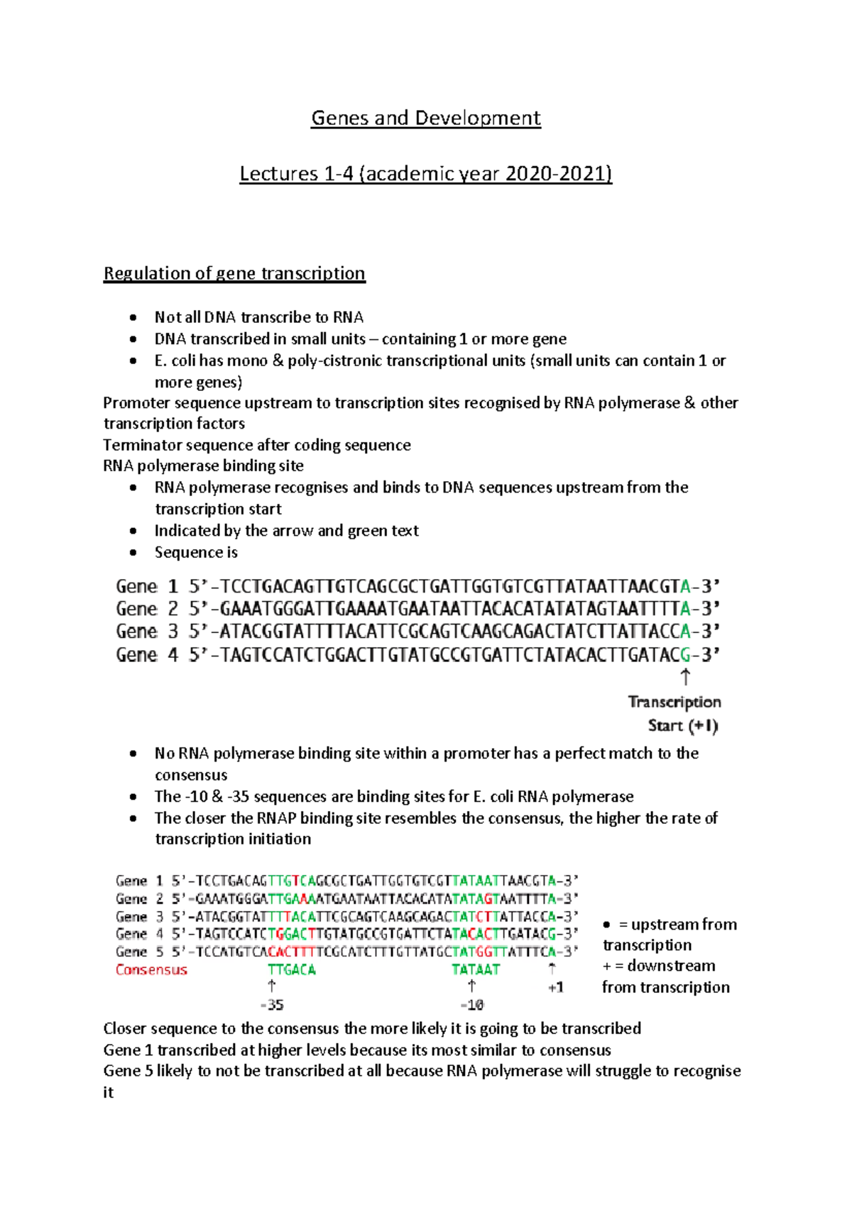 Genes and Development lectures 1to4 20202021 - Genes and Development ...