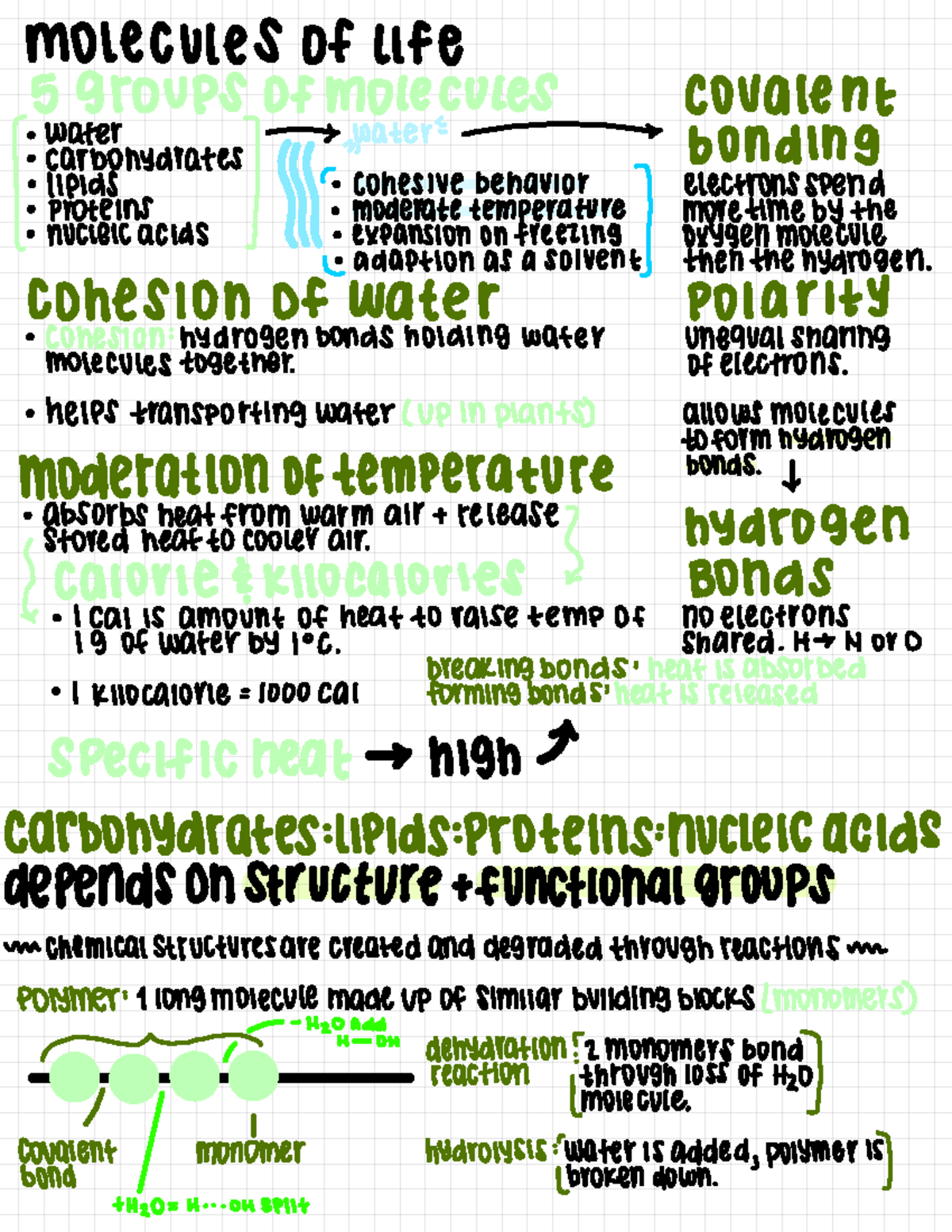 3 Molecules of life - Cohesion, Covalent Bonding, Polarity, Hydrogen ...