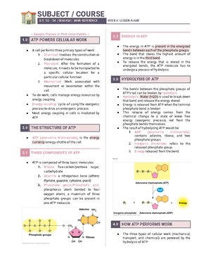 A Comprehensive Exploration of Information Management Systems ...