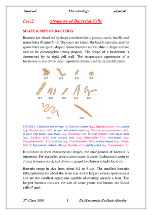 Staphylo Pharma (تم الحفظ تلقائيًا) - Staphylococcus General Concepts Structure Staphylococci ...