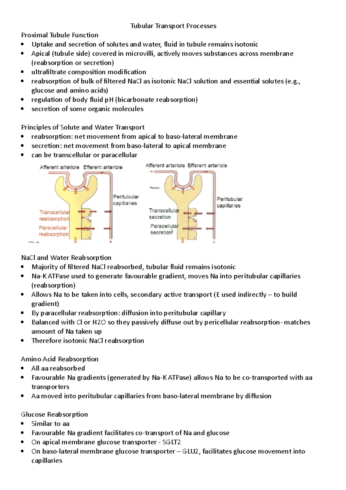PHOL0001: Tubular Transport Processes - Tubular Transport Processes ...