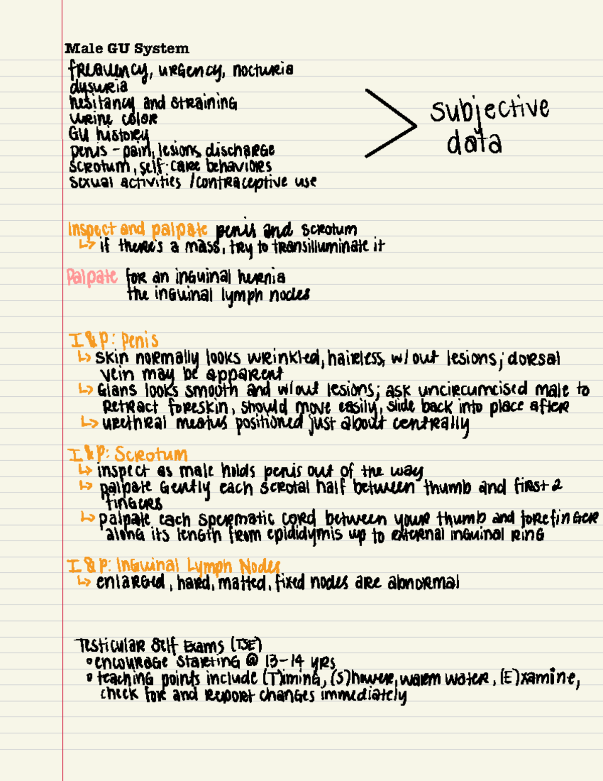 Nursing Assessment: GU Assessment - NURS 302 - Male GU System Female GU ...